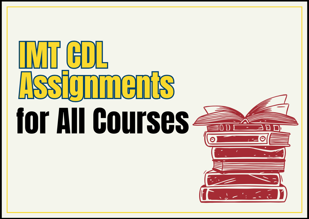 iMT University Assignment 2025